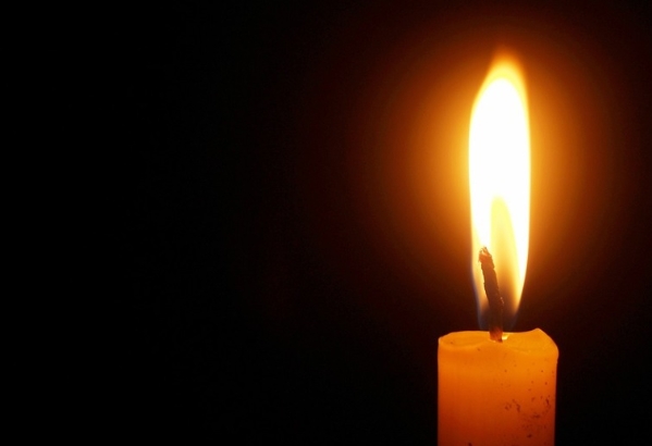 The Impact of Pet Cremation on the Grieving Process