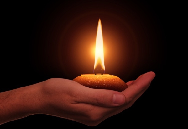 Making Sense of the Pet Cremation Process