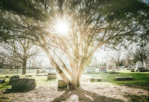 The Role of Cemeteries in Cremation Memorials: Key Insights