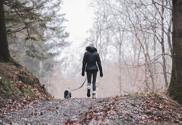 How to Cope with the Loss of a Pet Through Cremation