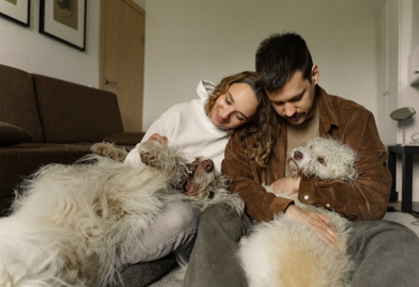 A Compassionate Guide to Pet Cremation: Honoring Your Bel...