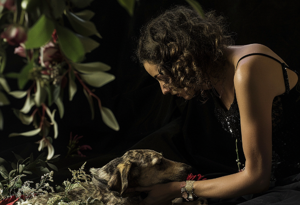 Pet Burial Services That Reflect Love and Care