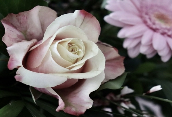 Understanding the Difference Between Viewing and Wake