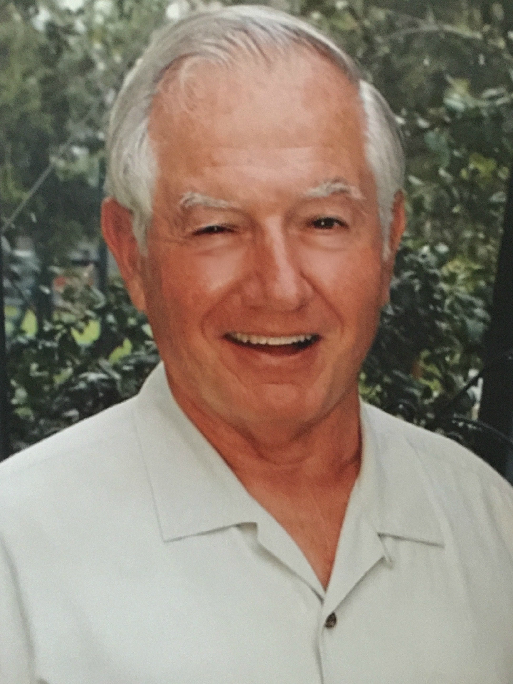 Wayne Franklin Schmidt Sr. - 2020 - Hubbell Funeral Home and Crematory