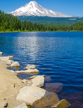 Ronald Herbert Reynier Sr. - 2020 - Anderson's Tribute Center