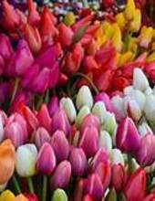 Mary Weidner - 2020 - Rebold Rosenacker & Sexton Funeral Home and Crematory