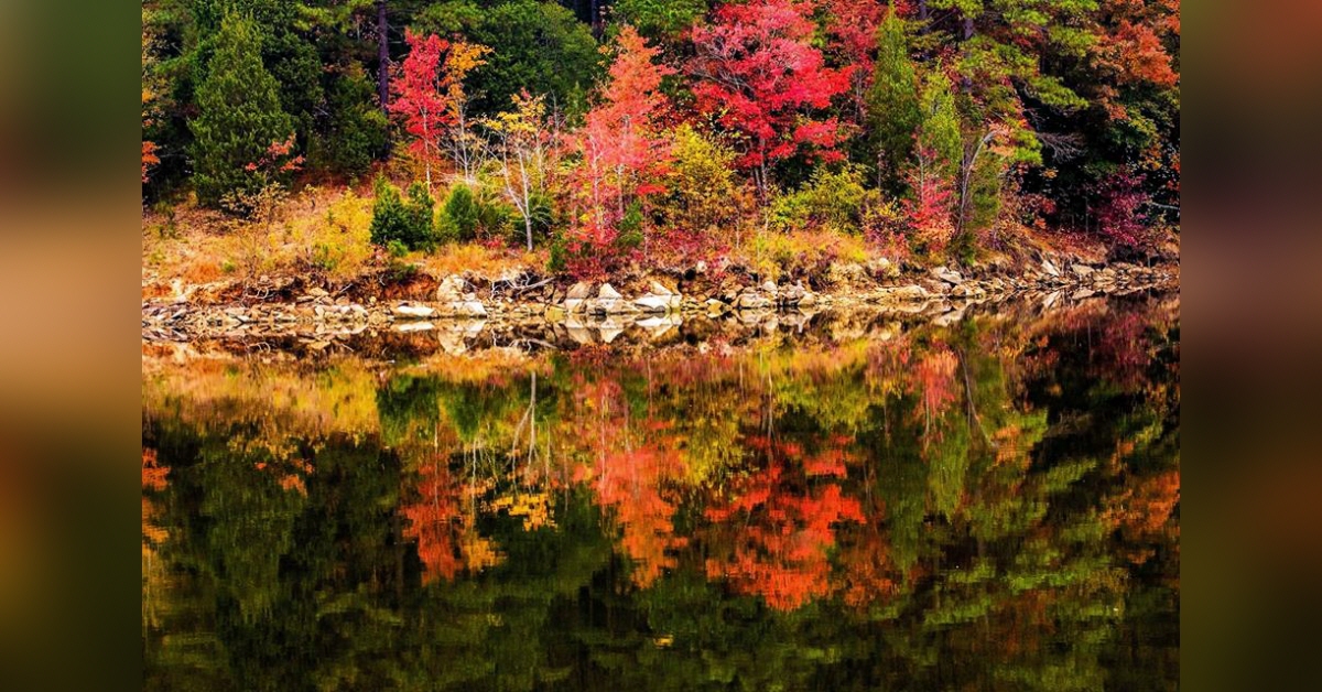 Obituary information for Samuel Locklear , Jr.