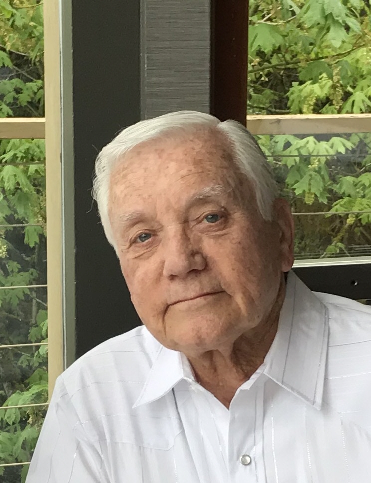 Robert Neubauer - Memories Trees