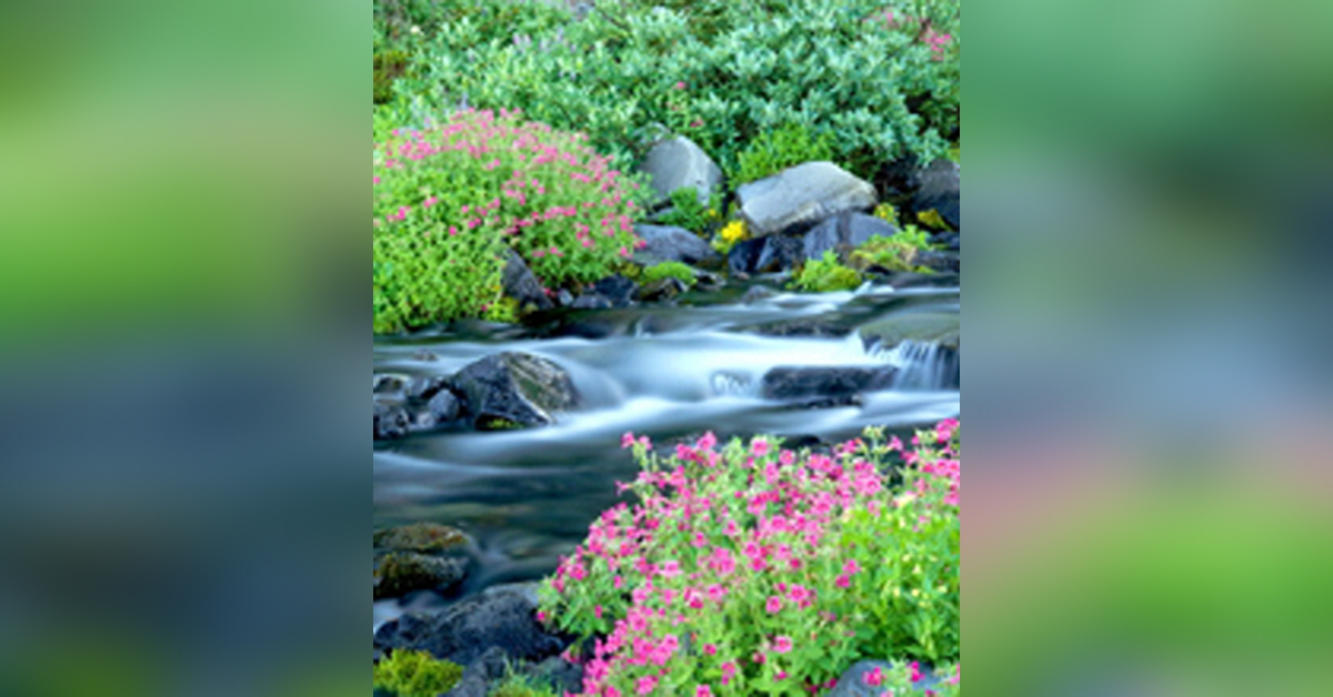 Obituary information for Robert M. “Bobby” Simpson