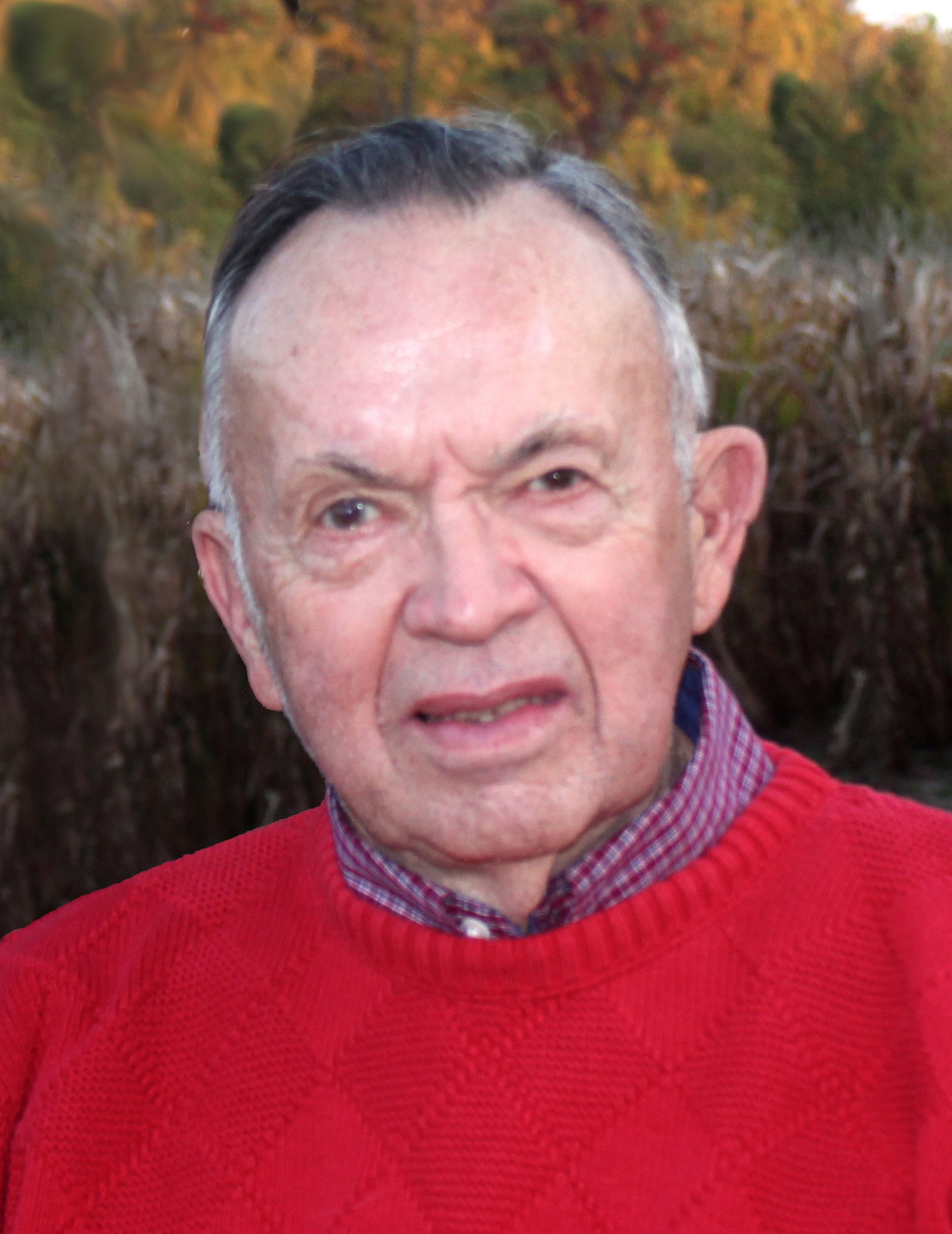 William Kenneth Deal - 2016 - Twigg Funeral Home