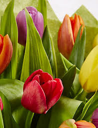 Norma Louise Leonard - 2020 - Null & Son Funeral Home