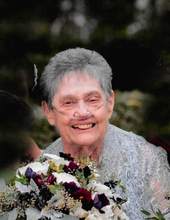 Mary Muench - Memories Trees