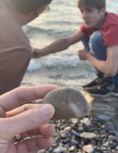 Diane Carol Sprague - 2020 - Stocking Funeral Home, Inc.