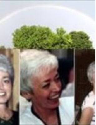 Carol Ann Lucas Obituary - 2016 - Stanfill Funeral Home