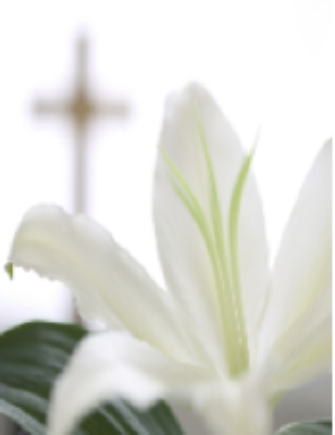 Evelyn Irene Hughes Obituary - 2009 - Maddux-Fuqua-Hinton Funeral Home