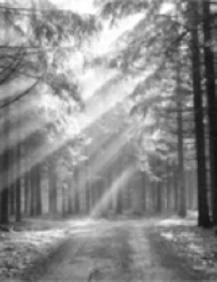 Joseph Robert Piccinini Obituary - 2016 - Franklin & Downs Funeral Home ...