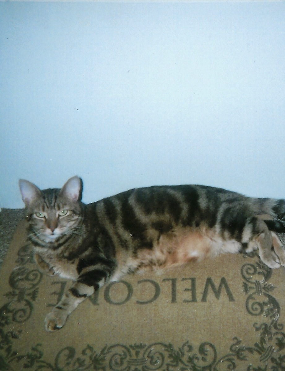 Tony Ott - 2020 - prvereb@aol.com