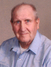 Nicolas Endres - Memories Trees