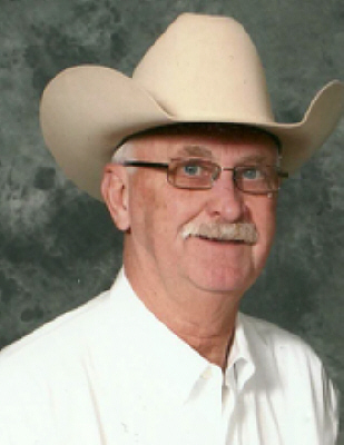 William Wright - Memories Trees