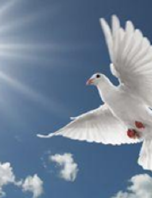 John Thomas Almquist Obituary - 2015 - Herman-Taylor Funeral Home