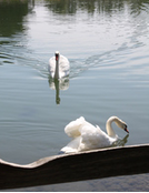 Lisa Camacho - 2012 - LaFollette's Chapel