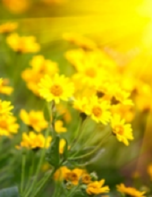 Grace Mary Hyder Obituary - 2021 - Cataudella Funeral Home