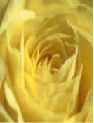 Justine Hamilton - 2008 - Funk Funeral Home