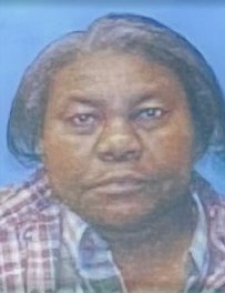 Lois Ann Norfleet - 2021 - Carlton L Gray Funeral Home