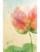 Kara Joni Hofer - 2014 - Jamieson’s Funeral Service