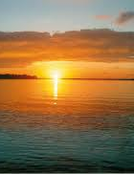 Perilee Holland Meadows - 2018 - Arlington Burial & Cremation