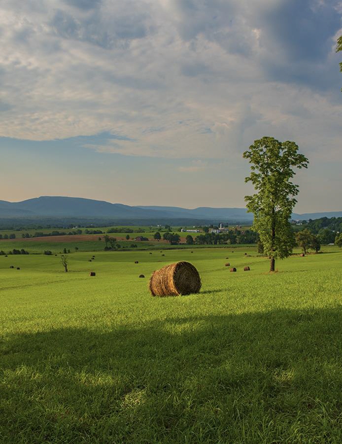 William Joshua "Bill" Clem, II - 2021 - Johnson Funeral Service