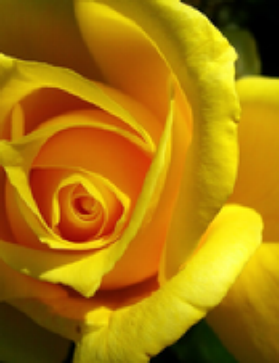 William Dennis Simonson - 2021 - Fayette Memorial Funeral Home & Crematory