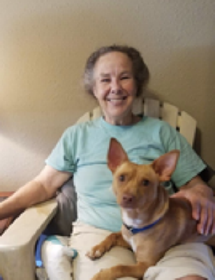 Dorothy Suzanne "Susie" Ward Obituary - 2021 - Shawn Chapman Funeral Home