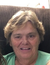 Susan Louise (Shahan) Quinn Obituary - 2021 - Behm Family Funeral Homes