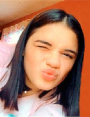 Rebecca Lynn "Becky" Sea Obituary - 2021 - Dove-Sharp & Rudicel Funeral ...