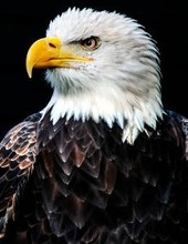 Terry Lee King - 2021 - Trefz & Bowser Funeral Home, Inc.