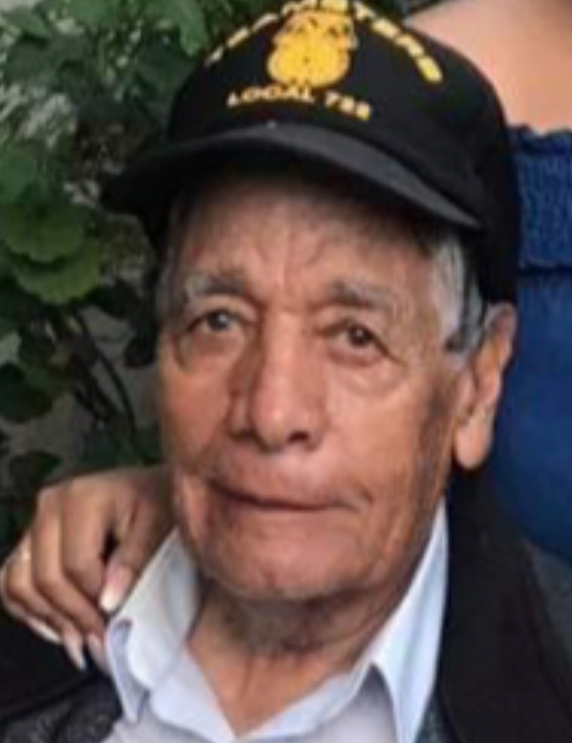 Salvador Escatel Arteaga - Memories Trees