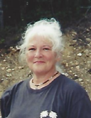 Nancy Ann Denham Obituary - 2021 - Robert J. Lawler & Crosby Funeral Home