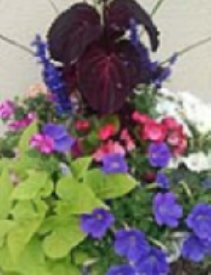 Anna M. LIGHTCAP Obituary - 2010 - Coats Funeral Home