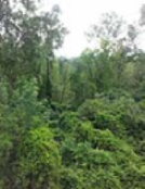 Joe Randall BOOTH - 2016 - Coats Funeral Home