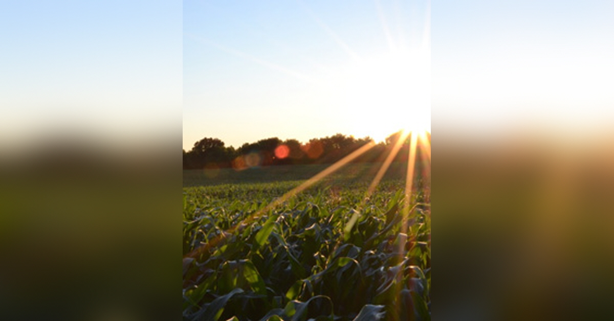 Obituary information for Edward McQueen