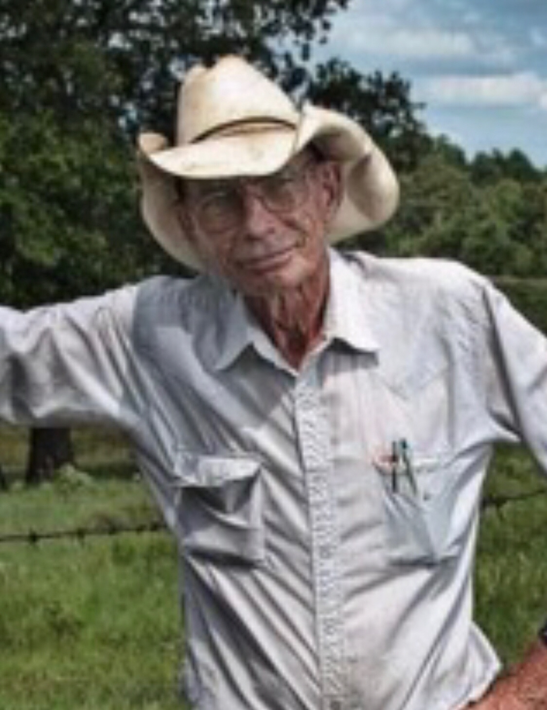 Carl Kennedy - Memories Trees