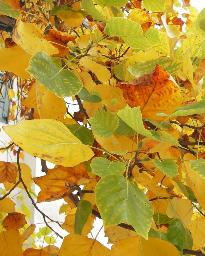 Craig Curken - 2021 - Weber Funeral Home