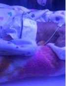 Hailey Faith McGowan - 2020 - W.K. Sujkowski & Son Funeral Home