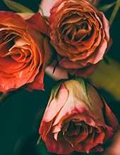 Reva Gale Shull - 2021 - Johnson Funeral Service