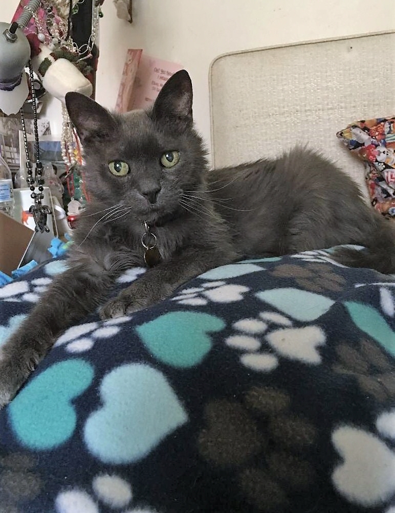 Simba Sims - 2021 - prvereb@aol.com