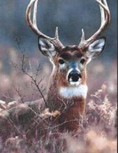 Donald Wayne Mabe, Jr. - 2021 - Harkins Funeral Home, Inc.