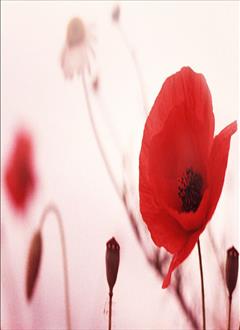 Franklin George Fennell - 2021 - Philips Funeral Service