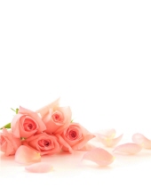 Obituary information for Emma M. Troyer