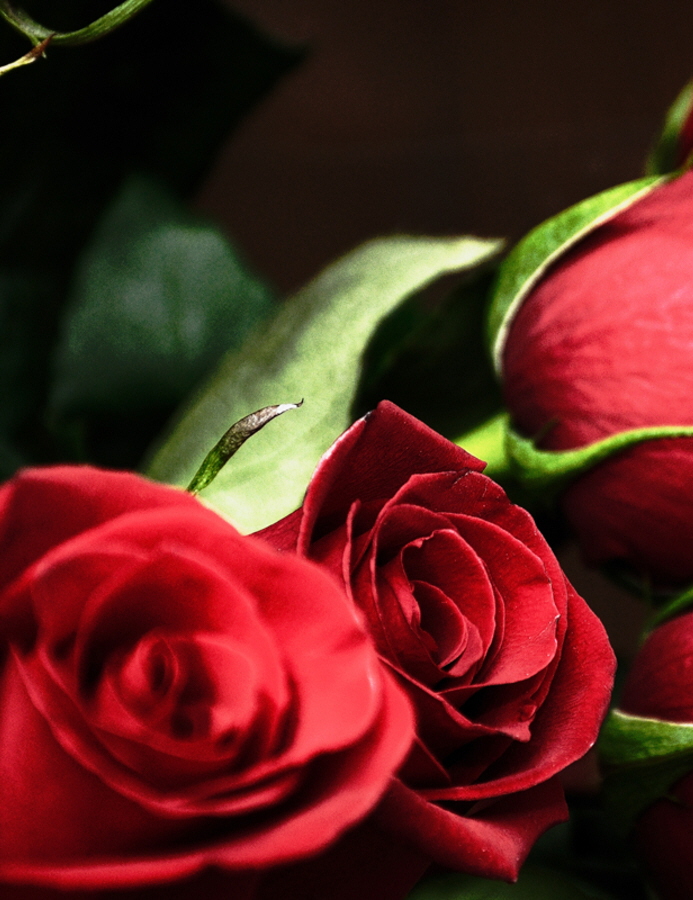 Lisa Yeung - 2022 - Mangano Funeral Home - NY